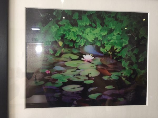 William Collier Open House: Brighton through the eyes of our clients ...