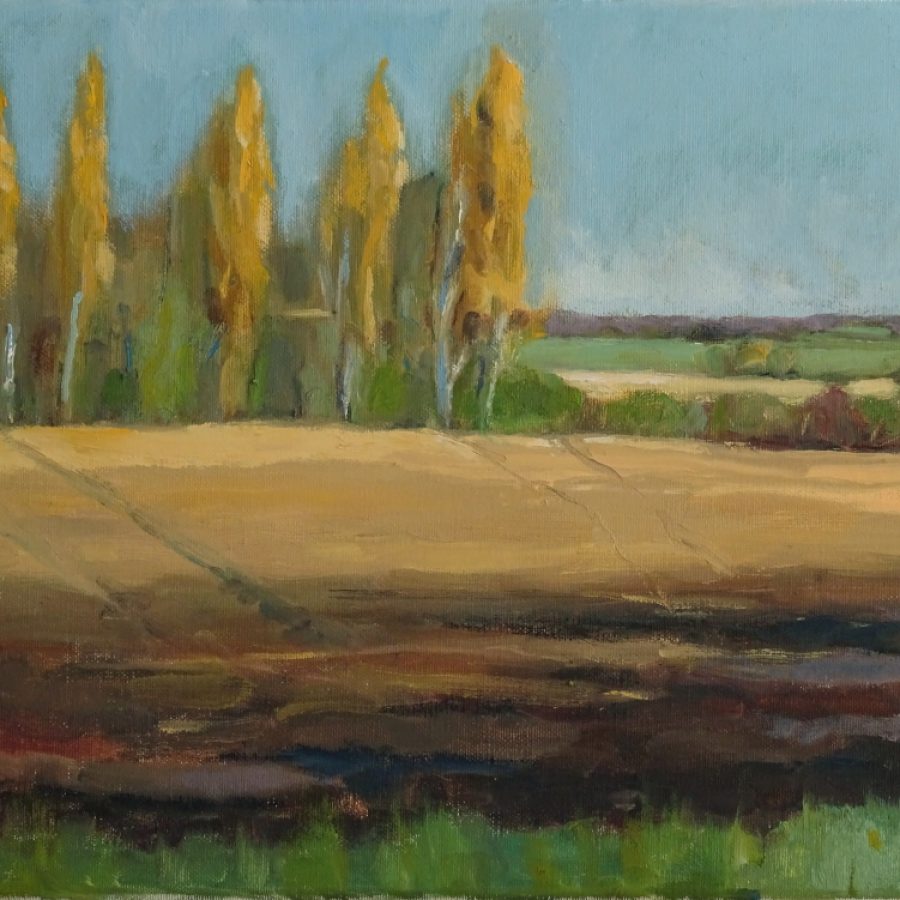 Jane Palmer | Artists Open Houses