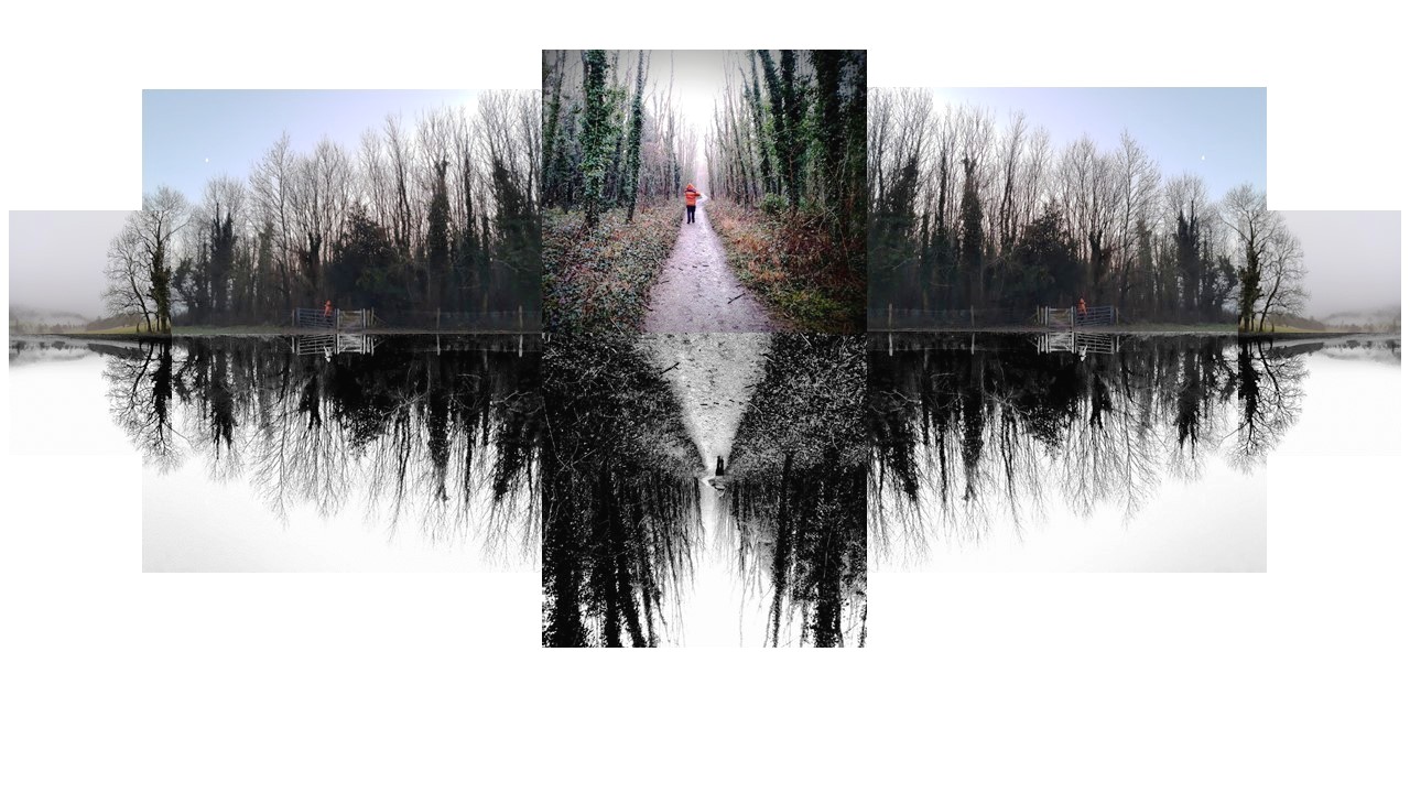 Dorothy Stringer School | Artists Open Houses