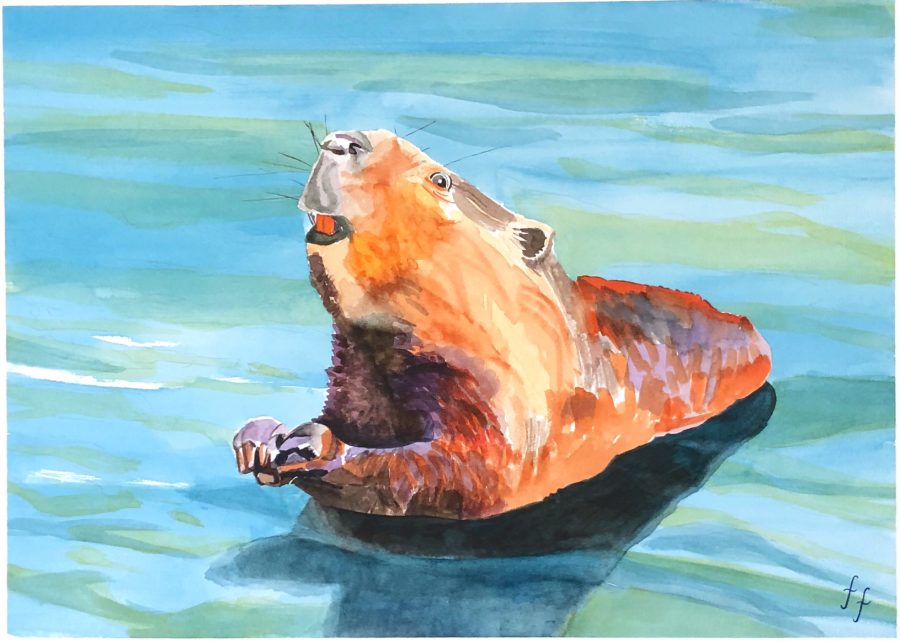 Fanny Fielding Art | Artists Open Houses